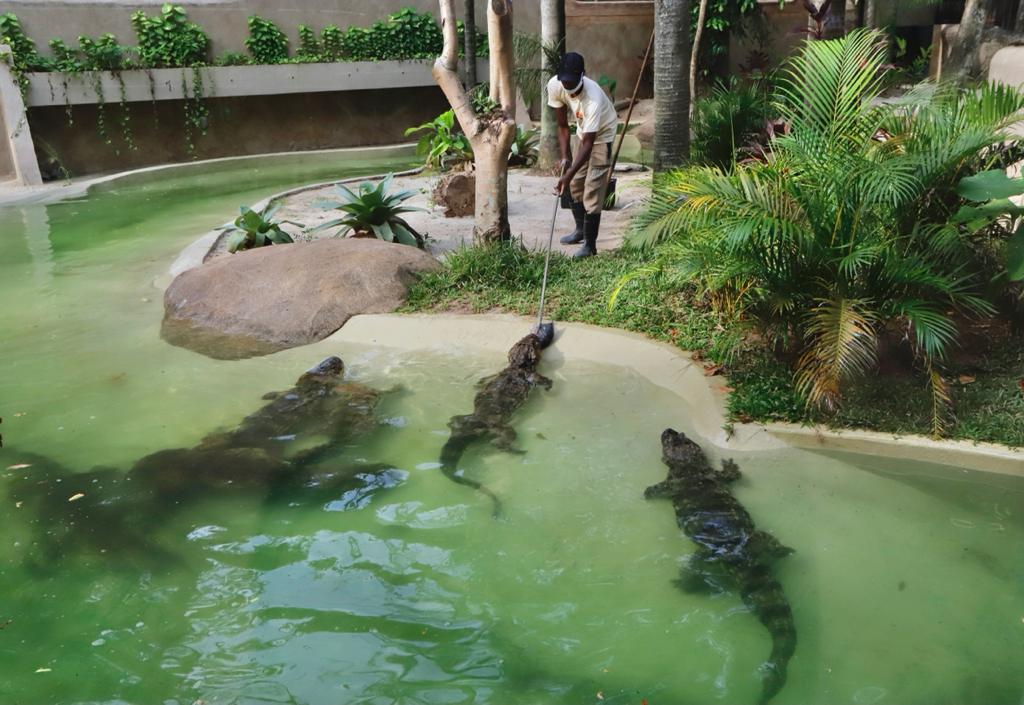 Conheça o circuito de visitação do BioParque Rio - Prefeitura da Cidade ...
