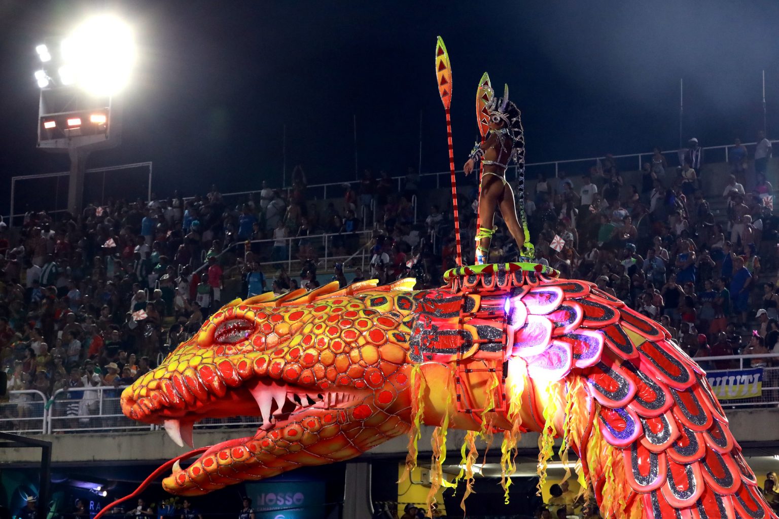 Fotogaleria: confira imagens do desfile da Viradouro, a grande campeã ...